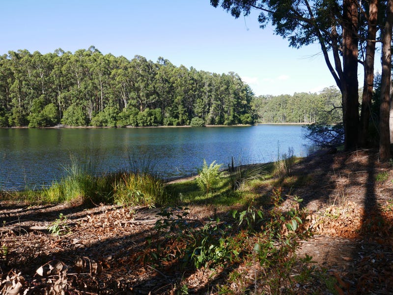 37 Karri Street, Manjimup, WA 6258 - realestate.com.au