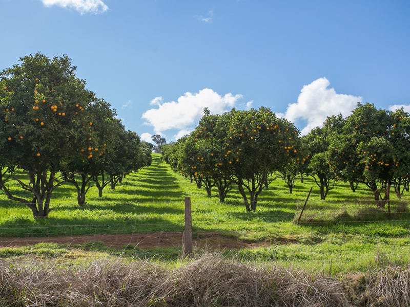 29 Flat Rocks Road, Bindoon, WA 6502 - realestate.com.au