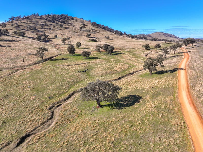 444 Hoares Lane, Muttama, NSW 2722 - Other for Sale - realestate.com.au