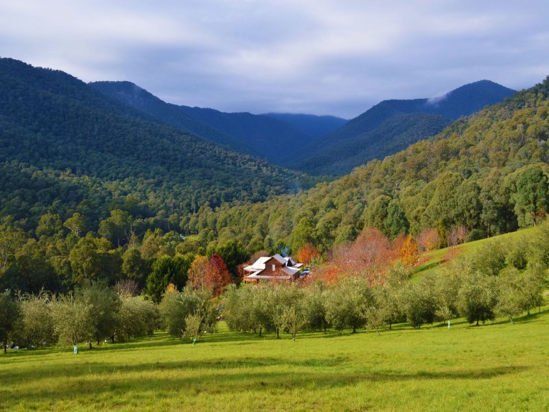 Property 7802946, Buckland, Vic 3740 - Property Details