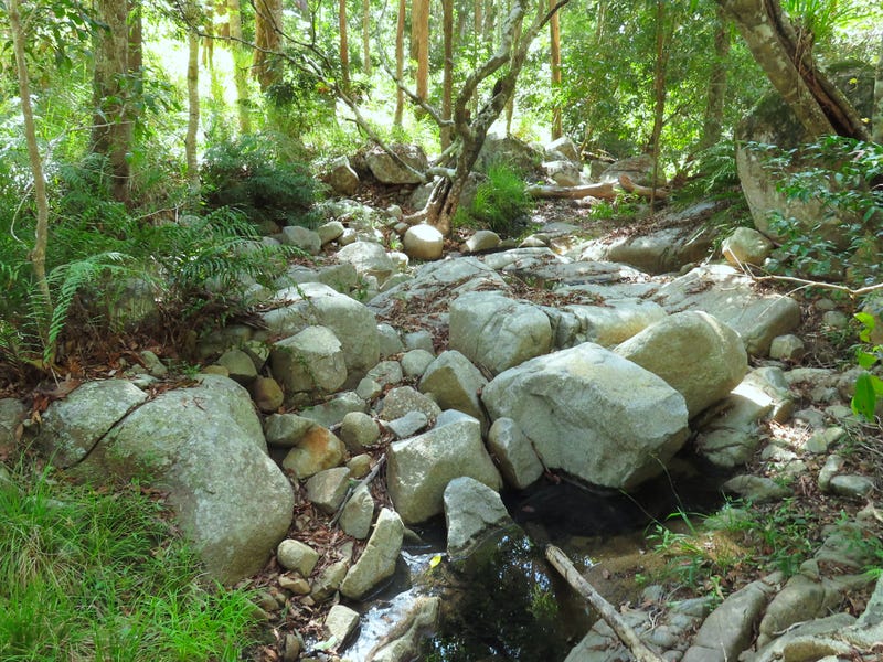 910 Bellthorpe Road, Conondale, QLD 4552 - realestate.com.au