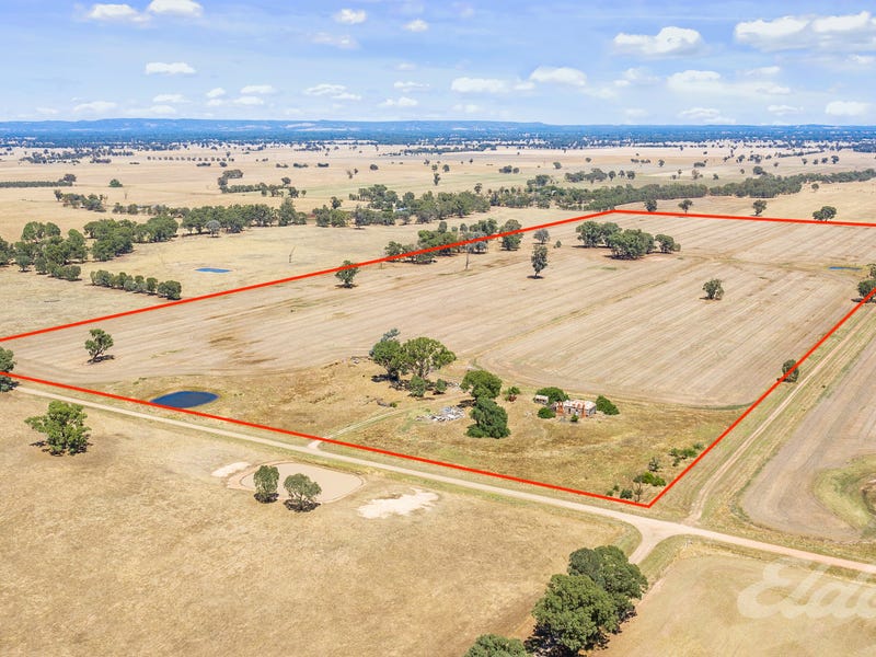 383 OBRIEN ROAD, Springhurst, Vic 3682 - Property Details