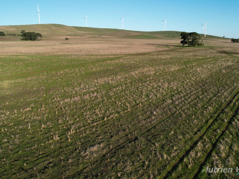 955 Beaufort-Waubra Road, Waubra, Vic 3352 - Property Details