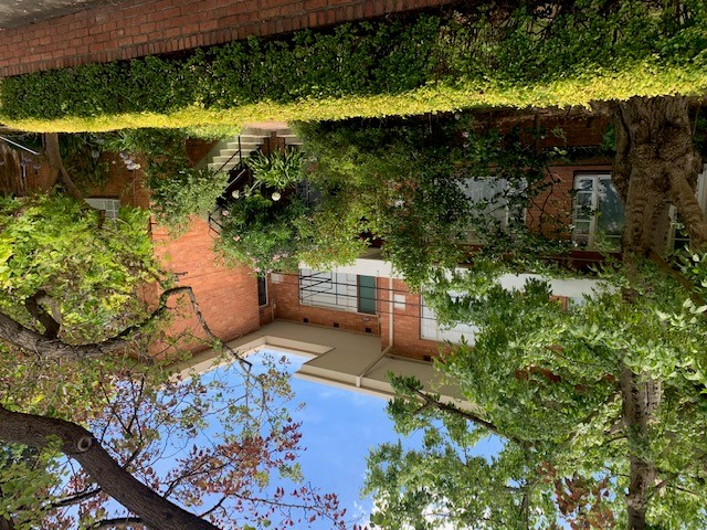 6/486 Toorak Road, Toorak, VIC 3142 - realestate.com.au