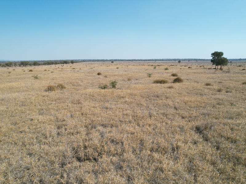 Blackwater Rolleston Road, Comet, Qld 4702 - Property Details