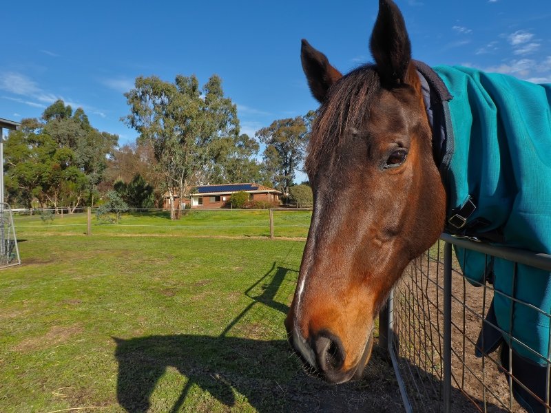 102 Angas Creek Road, Birdwood, SA 5234 - Property Details