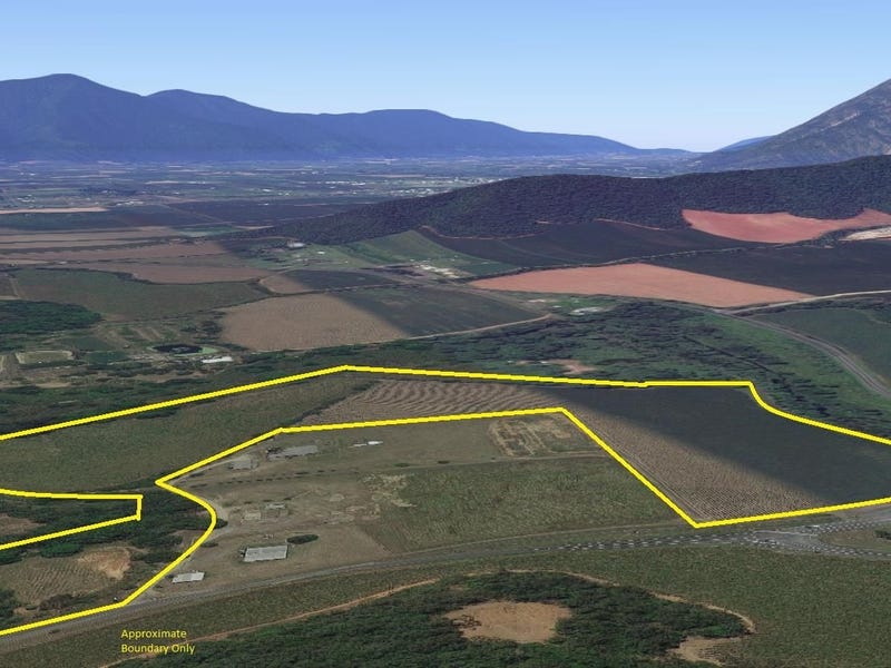 55 Mount Peter Road, Mount Peter, QLD 4869 - realestate.com.au