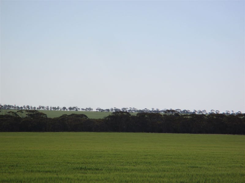 Property 700071258, Varley, WA 6355 - Property Details