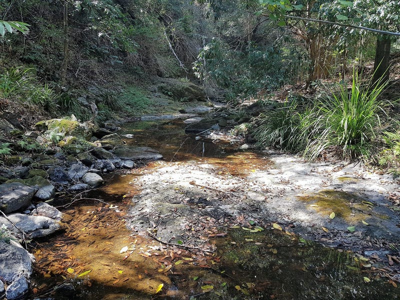 431 Kureelpa Falls Road, Kureelpa, QLD 4560 - realestate.com.au