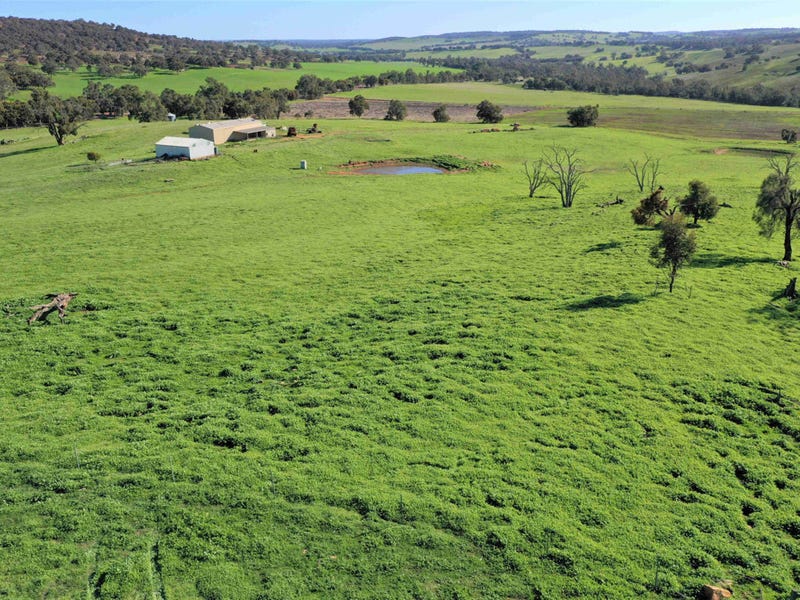 1734 Bindoon-Moora Road, Mooliabeenee, WA 6504 - Property Details