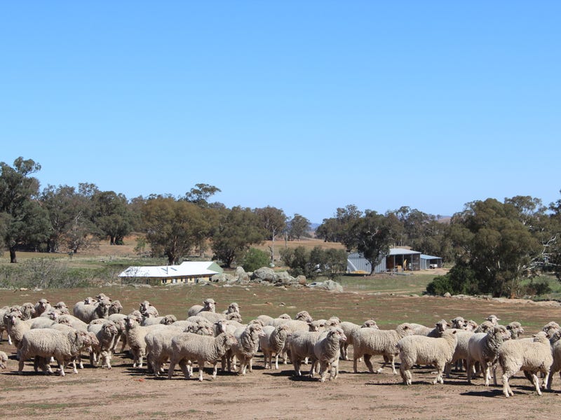 890 OAK HILLS ROAD, Nangus, NSW 2722 - Property Details