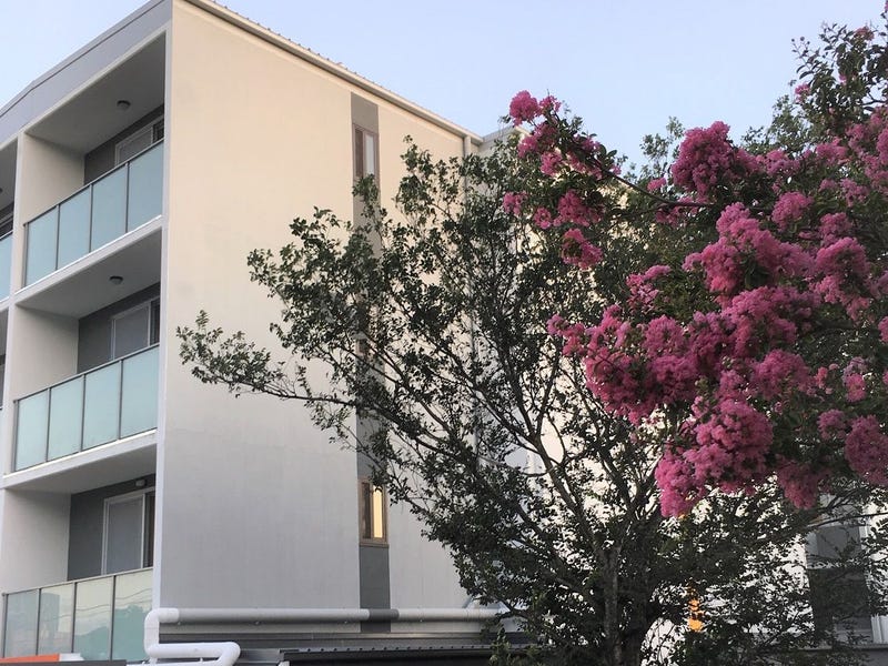 Rental Properties and Real Estate in Melbourne St, North Adelaide, SA ...