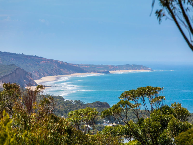 61 Harvey Street, Anglesea, Vic 3230 - Property Details