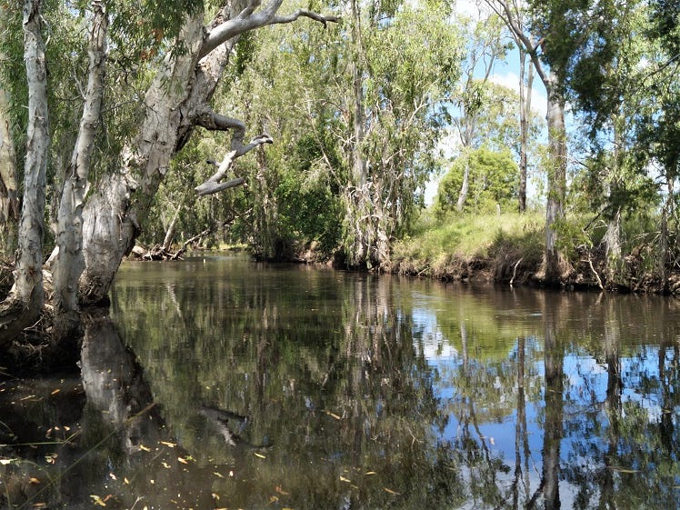 Ridgelands-Dalma, 167 Ridgelands-Dalma, Ridgelands, Qld 4702 - Property ...