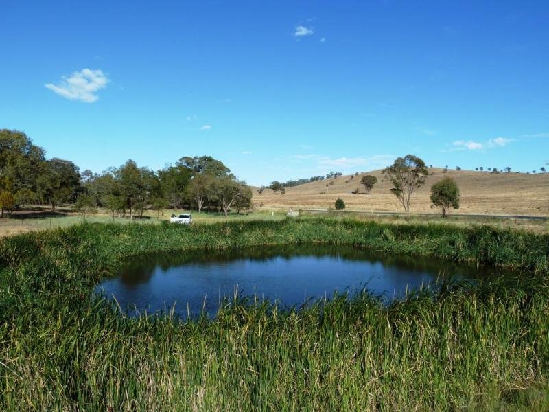 01145 Goolma Road, Gulgong, NSW 2852 - Property Details