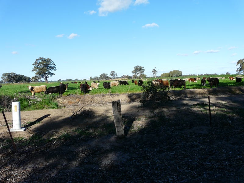 Kokoda Road, Katunga, Vic 3640 - Property Details