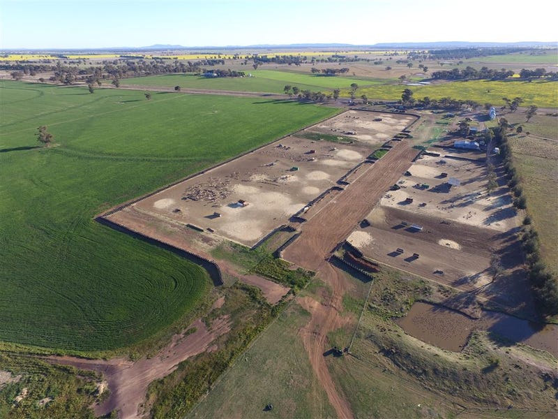 Property 7923590, Forbes, NSW 2871 - Property Details