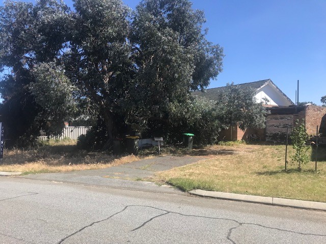 31 David Street, Yokine, WA 6060 - Property Details