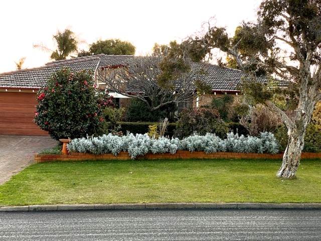 6 Raine Terrace, Winthrop, WA 6150 - realestate.com.au