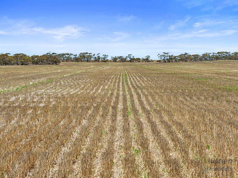 Lot 201 Pipeline Road, Arthurton, SA 5572 - Property Details