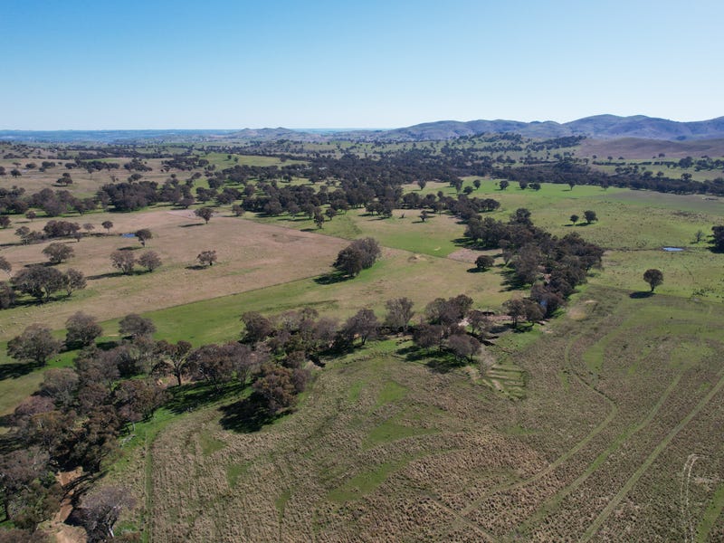 Talbragar, Bogolara Road, Bookham, NSW 2582 - Property Details