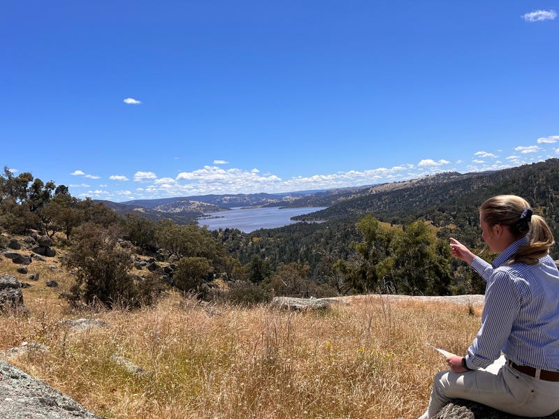 Lot 4 Tarrants Gap Road, Wyangala, NSW 2808 - Lifestyle for Sale ...