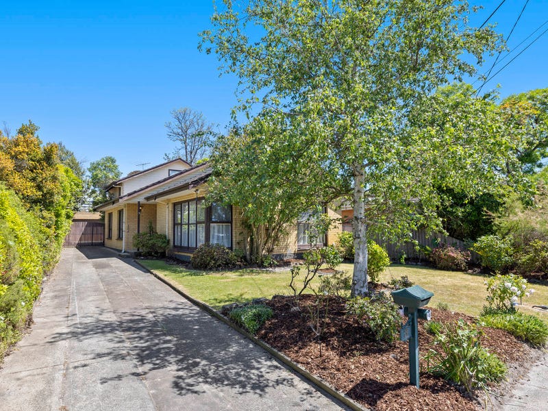 3 Reuben Street, Cheltenham, Vic 3192 - Property Details