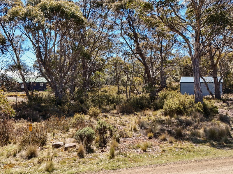 Real Estate & Property for Sale in Launceston - Greater Region, TAS (+2 ...