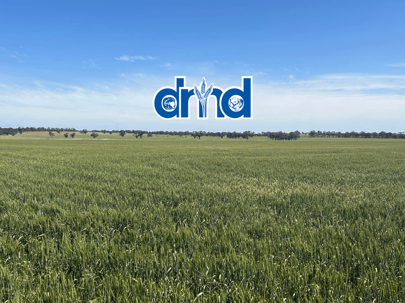 Diapur-Yanac Road, Nhill, Vic 3418 - Cropping for Sale - realestate.com.au