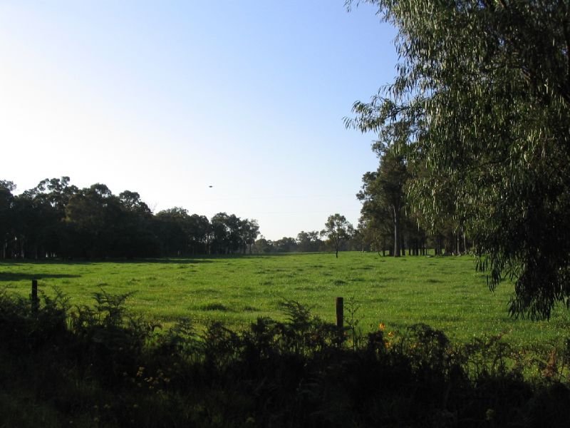 14 Wickham Road, Witchcliffe, WA 6286 - realestate.com.au