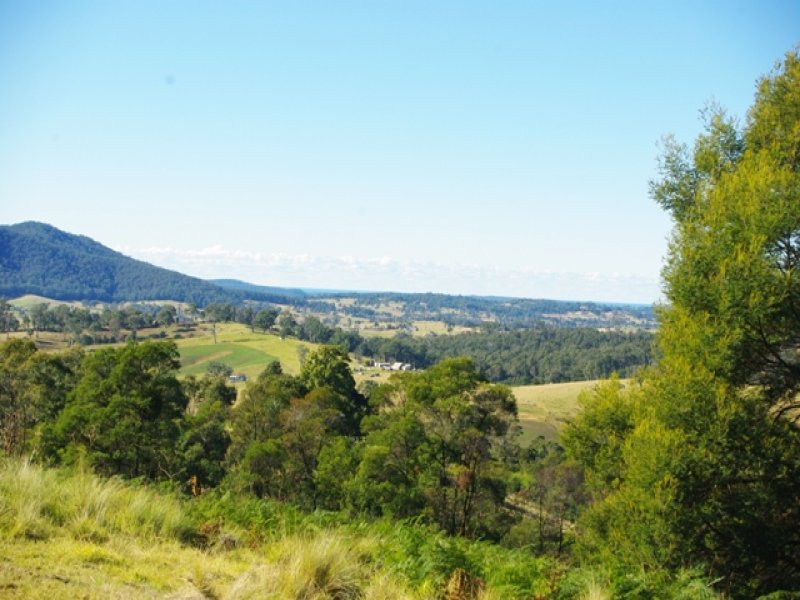 Lot 320 County Boundary Road, Cobargo, NSW 2550 - Property Details