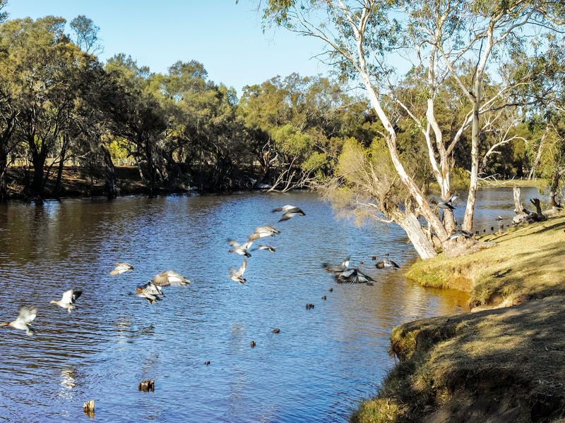 78/61 Elvire Street, Viveash, WA 6056 - Property Details