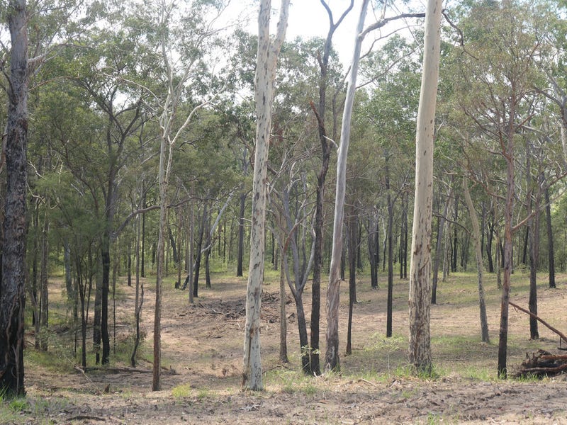 82, 395 Bruxner Road, Drake, NSW 2469 - Lifestyle for Sale - realestate ...