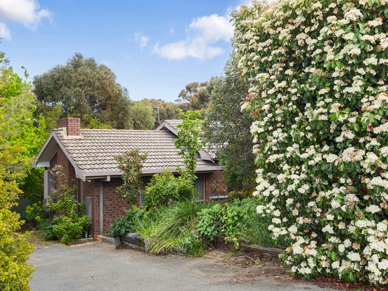 35 Specimen Hill Road, Golden Square, VIC 3555 - realestate.com.au