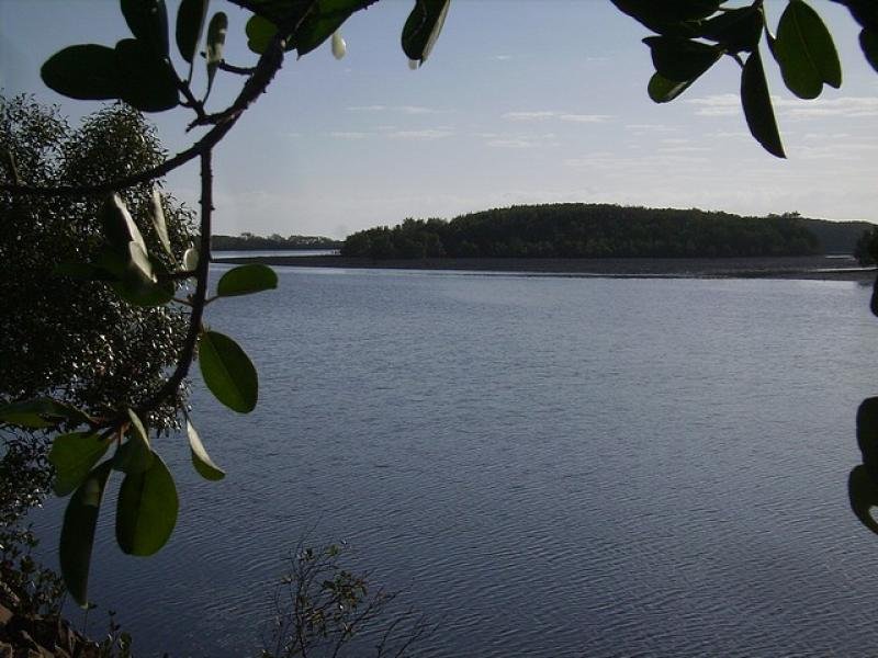 4 Esplanade, Jerona, Qld 4809 - Property Details