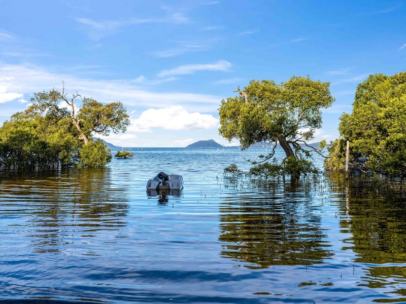 56 Curlew Avenue, Pindimar, NSW 2324 - realestate.com.au