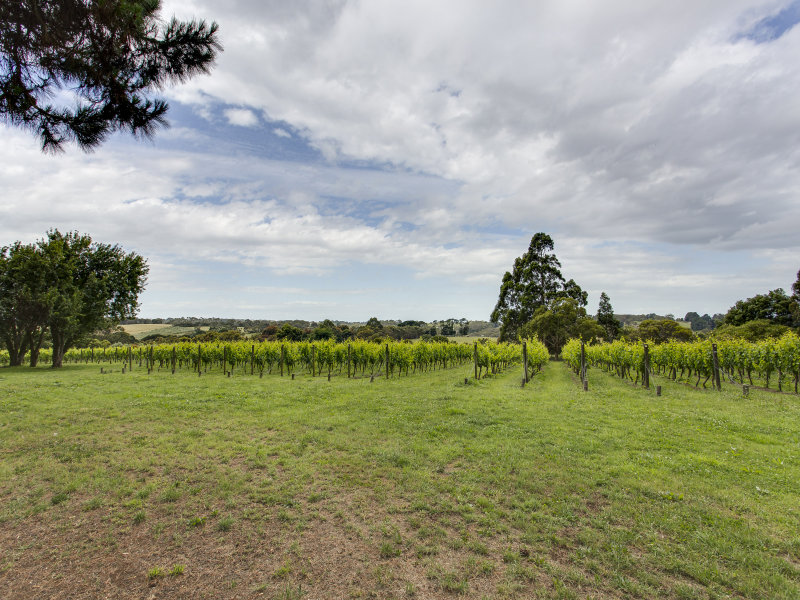 255 Main Creek Road, Main Ridge, VIC 3928 - realestate.com.au