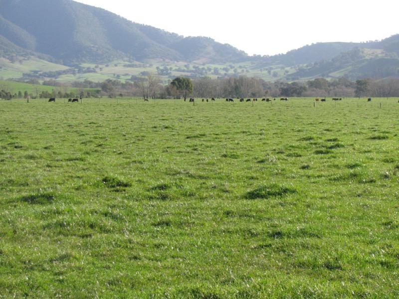 Lot 1 Tooma Road, Bringenbrong, NSW 3707 - Property Details