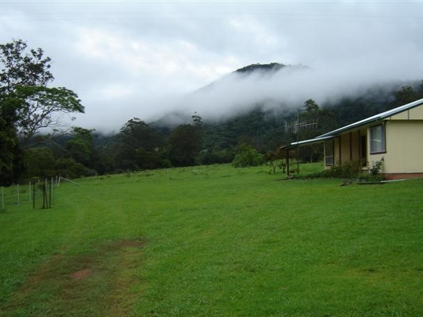 43 Willow Glen Road, Kindee, NSW 2446 - realestate.com.au