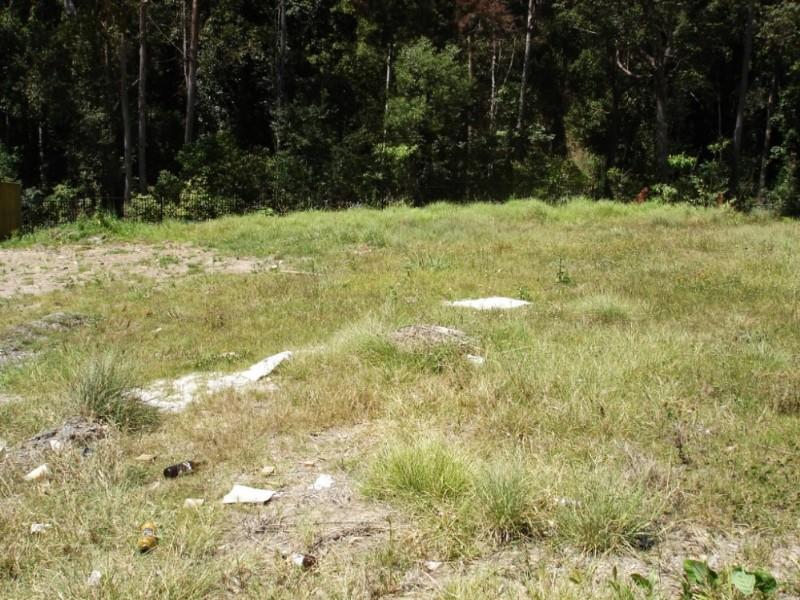 96 Roberts Drive, Maudsland, QLD 4210 - realestate.com.au