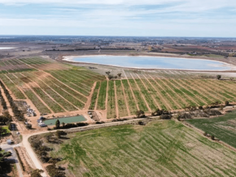 Woorinen - address available on request - Cropping for Sale 700391832 ...