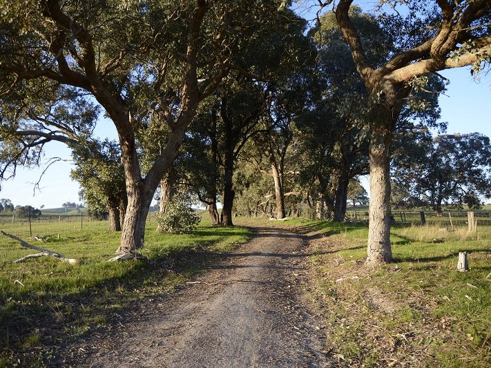 Lot 5 1195 Seymour-Pyalong Road, Glenaroua, Vic 3764 - Property Details