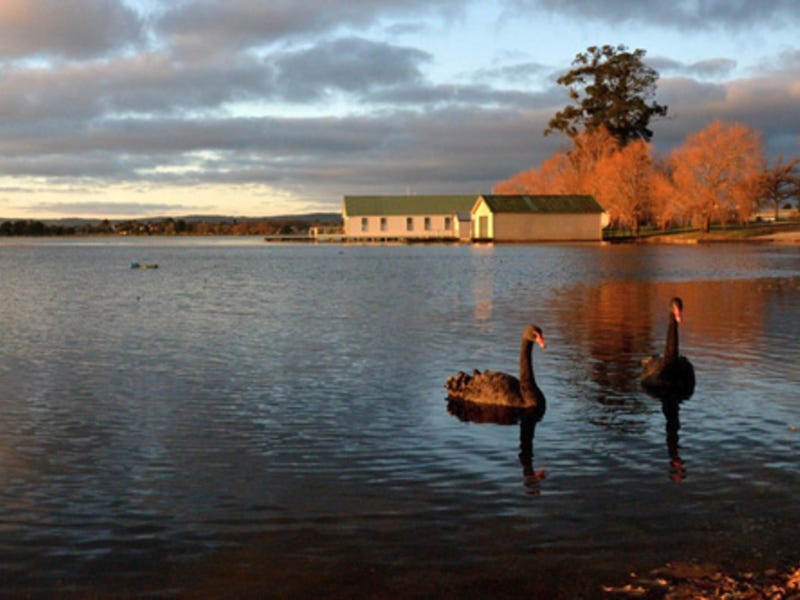 10A Exeter Street, Lake Wendouree, VIC 3350 - realestate.com.au