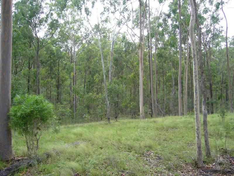 Property 7199970, Booyal, Qld 4671 - Property Details