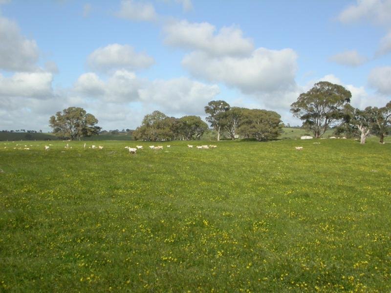 Sec 1982 Cnr Military & Jones Rd, Harrogate, SA 5244 - Property Details