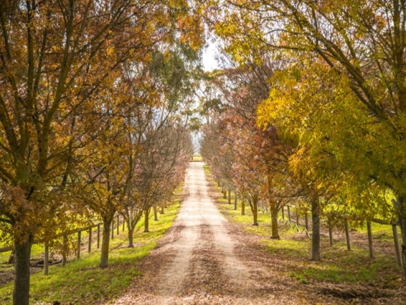 69 Brown Road, Echunga, SA 5153 - Property Details