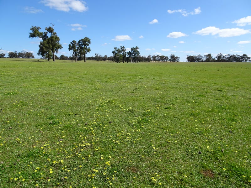 "Mitchibin" North Bannister-Wandering Rd, Wandering, WA 6308 - Property ...
