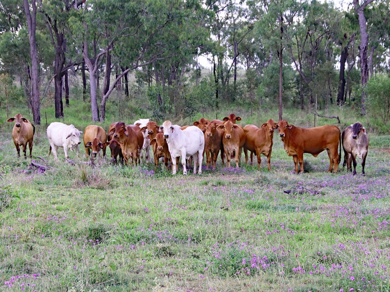 782 Floods Road, Dululu, Qld 4702 - Property Details