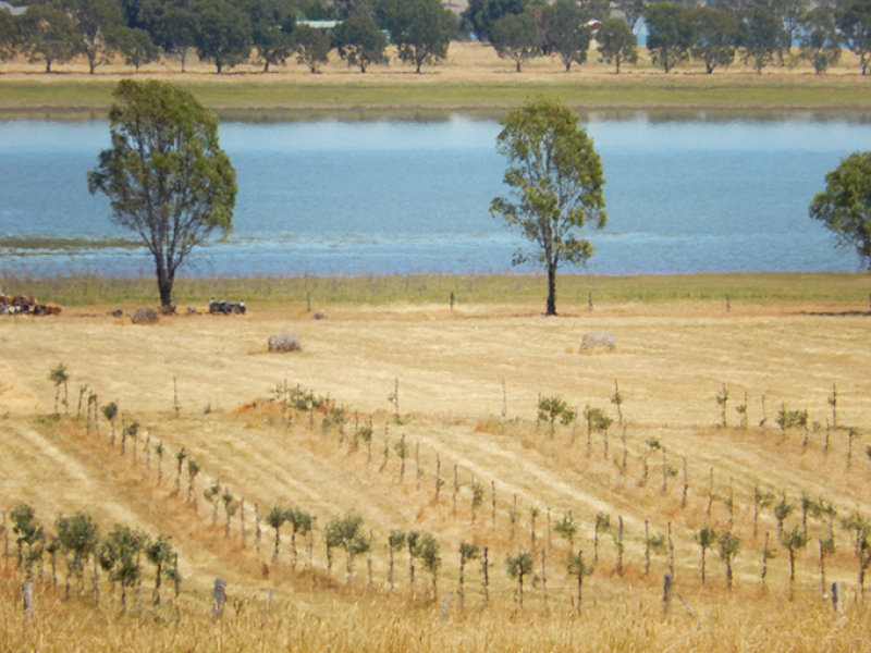 Channel Inlet Road, Rushworth, Vic 3612 - Property Details