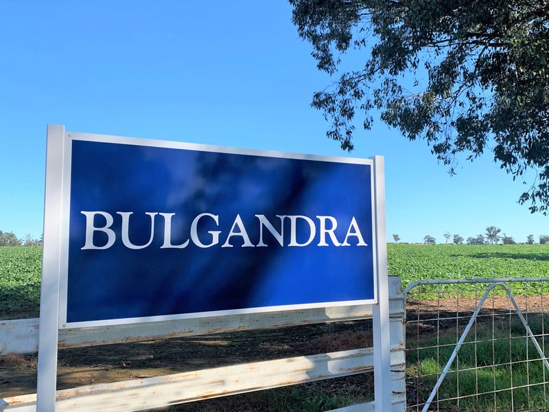 Back Walbundrie Rand Road, Walbundrie, NSW 2642 - Property Details